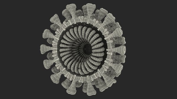 Coronavirus 2019-ncov sars-cov-2 cross section 3D - TurboSquid 1516000