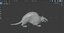 3D monster rat model - TurboSquid 1515983