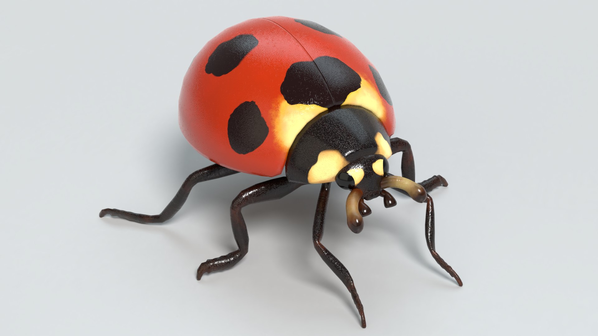 3D ladybug pbr - TurboSquid 1516386