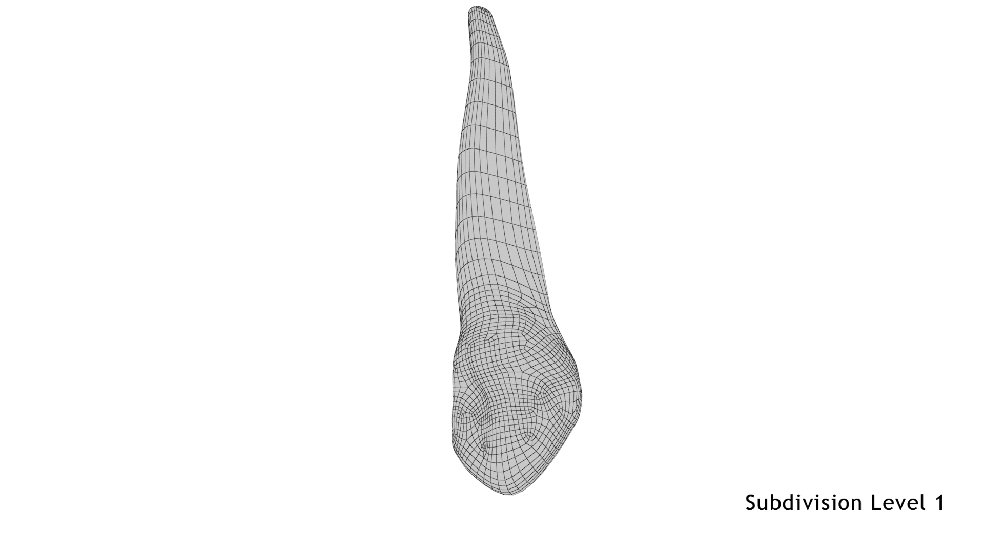 3D human teeth upper canine model - TurboSquid 1516716