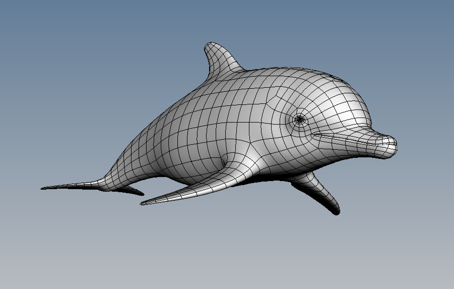 3D model dolphin - TurboSquid 1517045