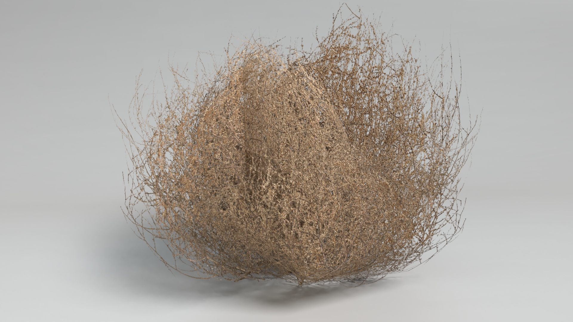 Tumbleweed polys 3D model - TurboSquid 1517576