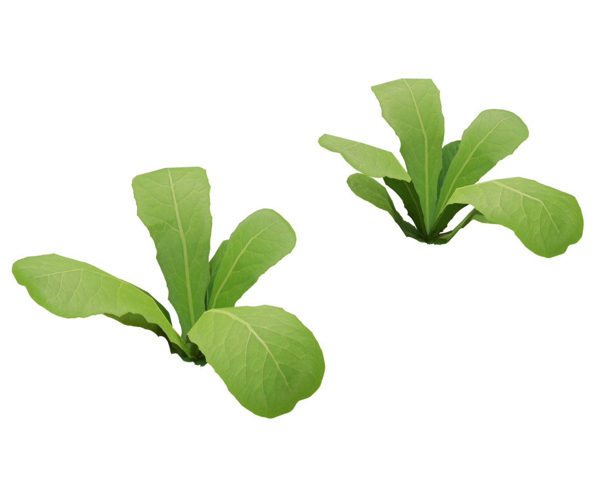 3D model lettuce vegetables food - TurboSquid 1517829 3D model lettuce vegetables food - TurboSquid 1517829