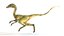 3d compsognathus compy model