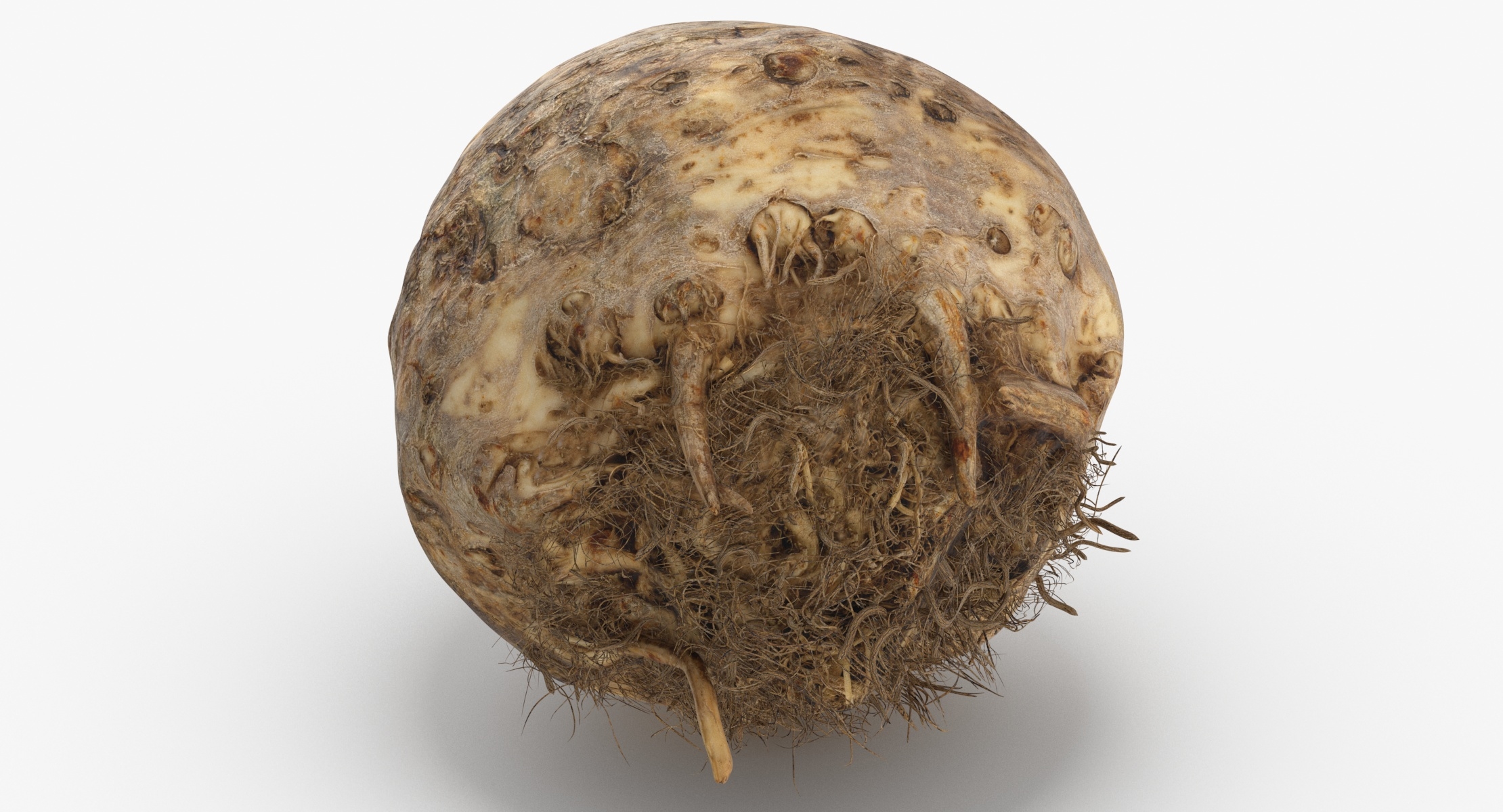 modelo 3d Raíz de apio 01 - TurboSquid 1517313