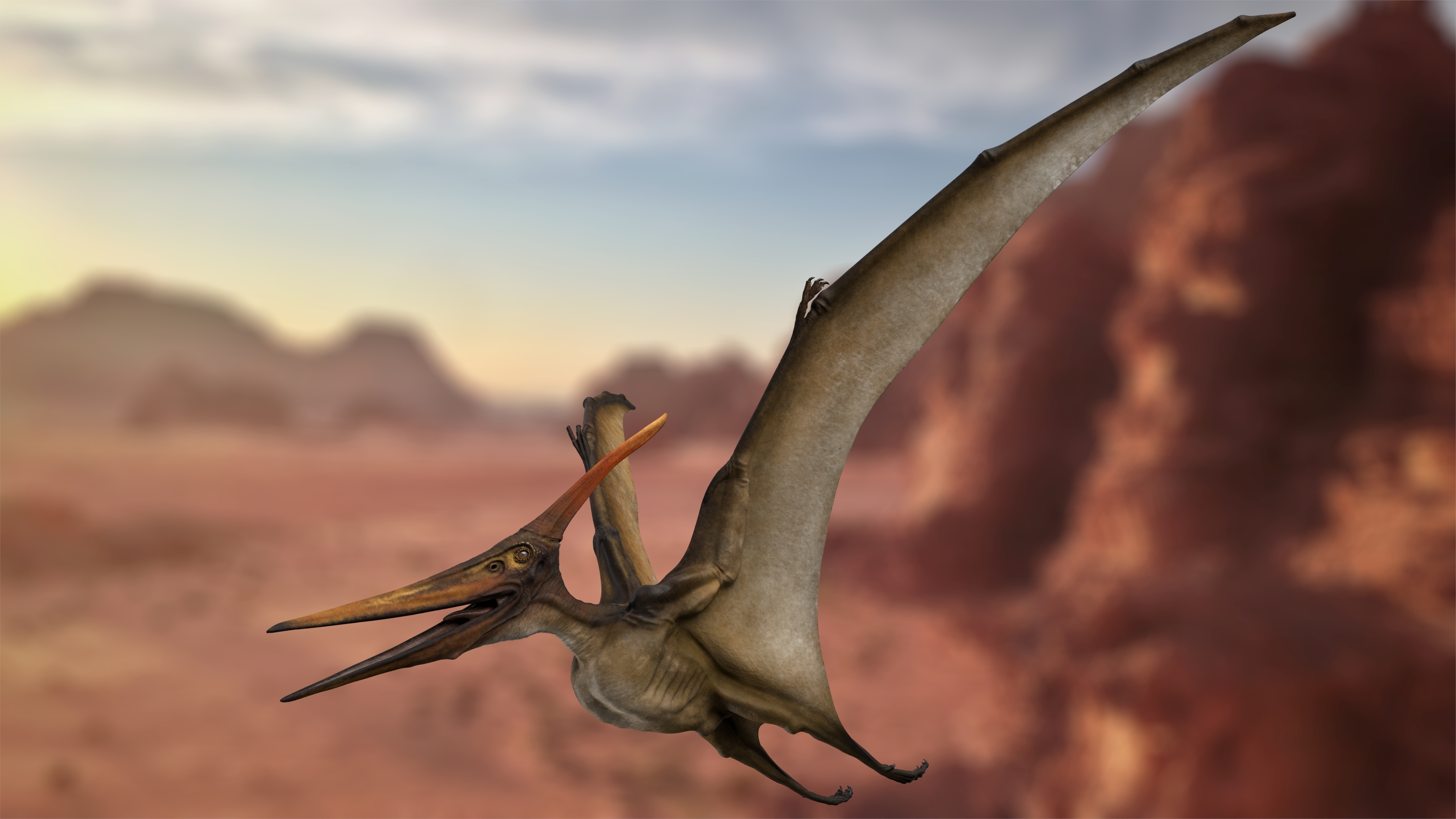 modèle 3D de Ptéranodon Longiceps Rigged - TurboSquid 1519330