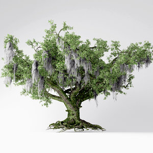 Free 3D Oak-Tree Models | TurboSquid