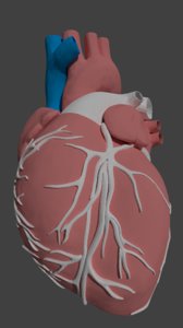 Blender Heart Models | TurboSquid