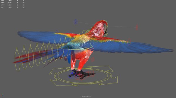 Scarlet Macaw Parrot Fur Animated Rigged3D模型 - TurboSquid 1519189