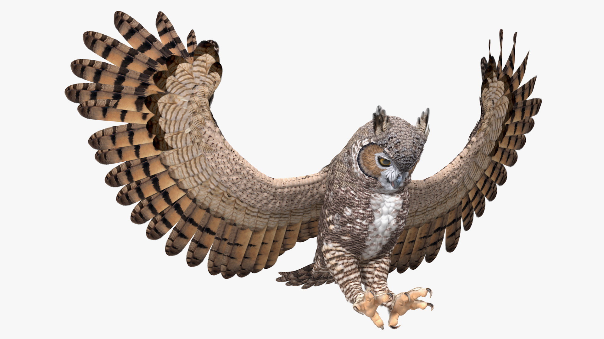 Great horned owl attacking 3D model - TurboSquid 1519607