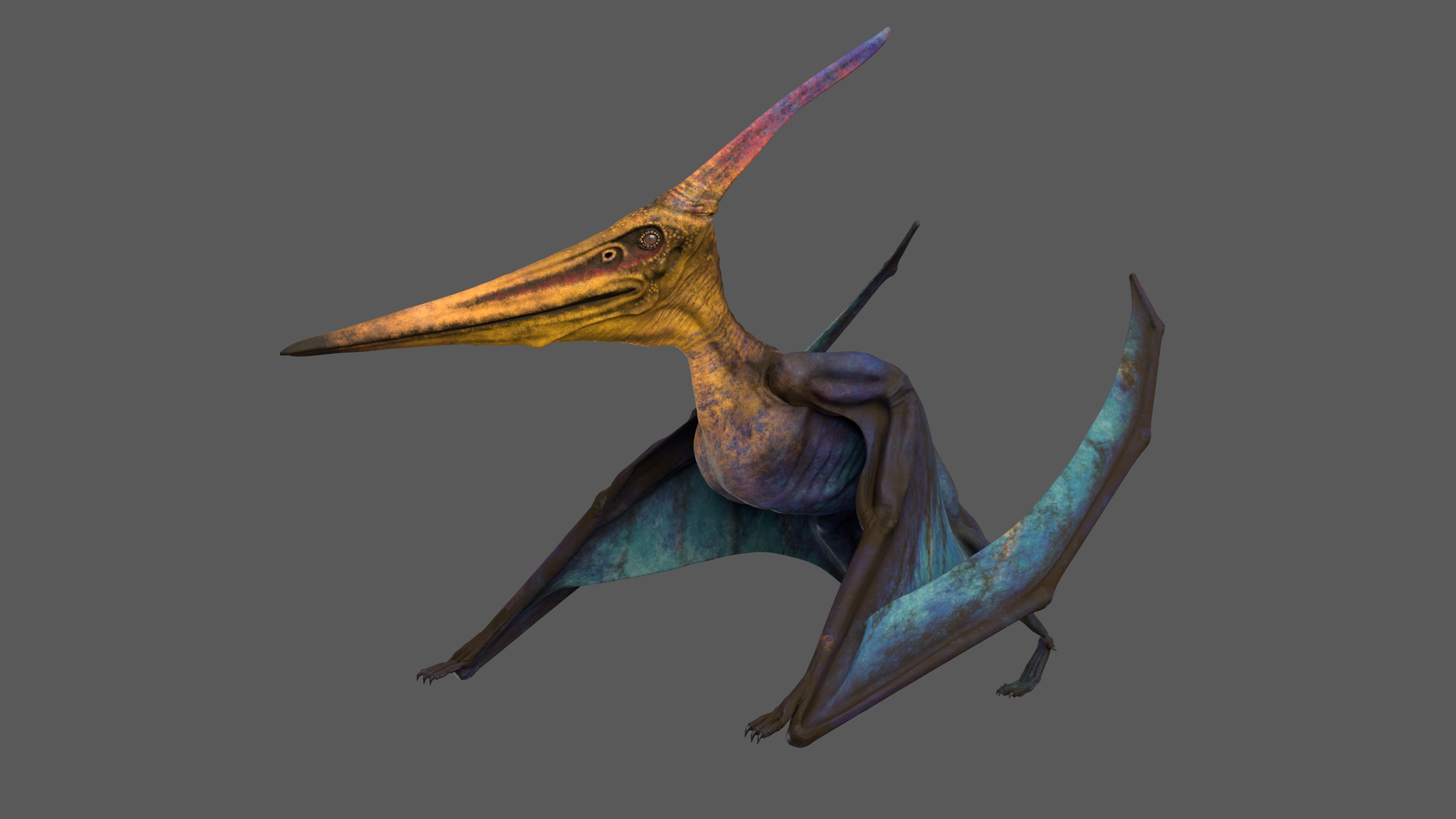 3D rigged pteranodon longiceps cyan model - TurboSquid 1519395