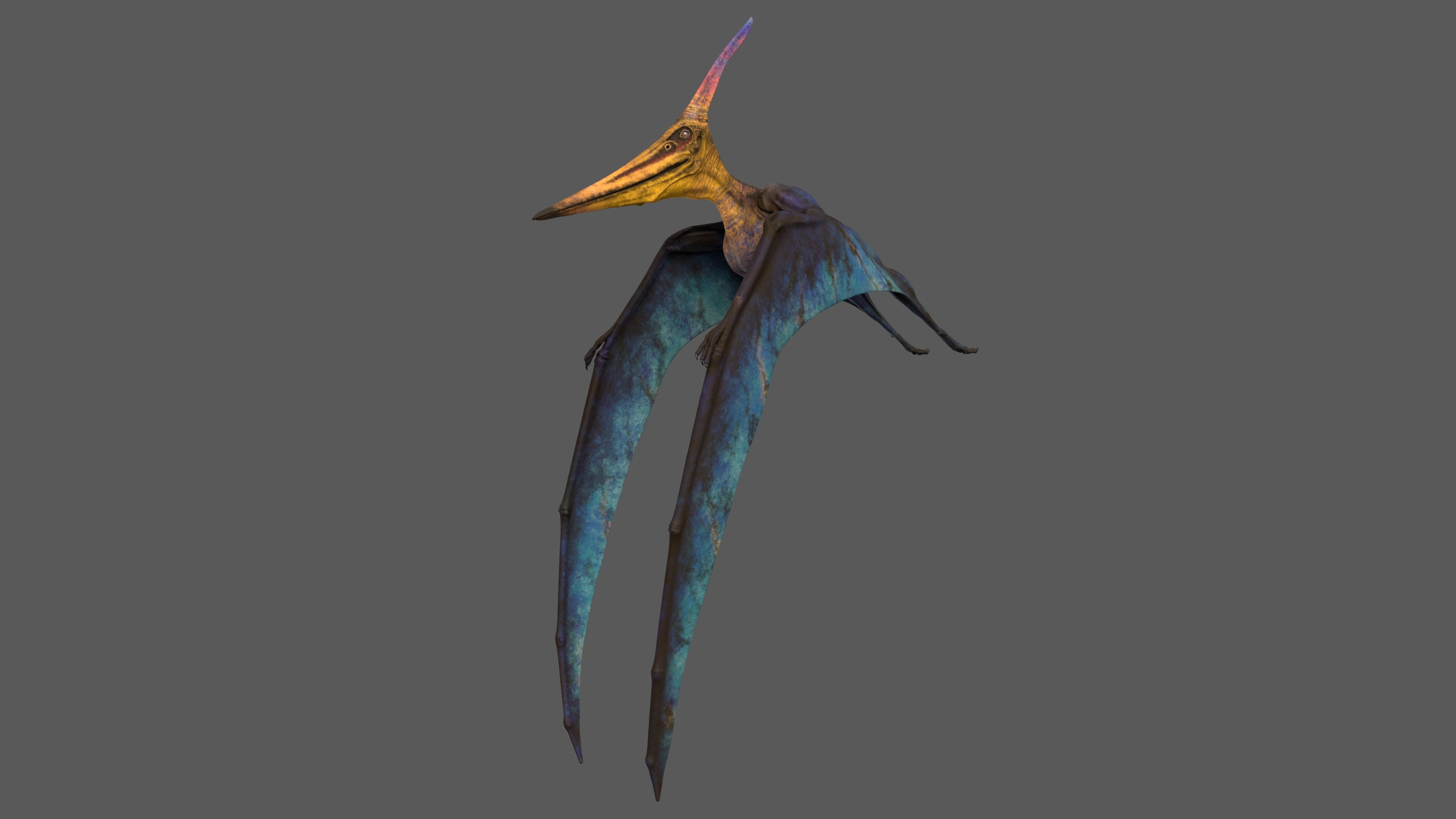 3D rigged pteranodon longiceps cyan model - TurboSquid 1519395