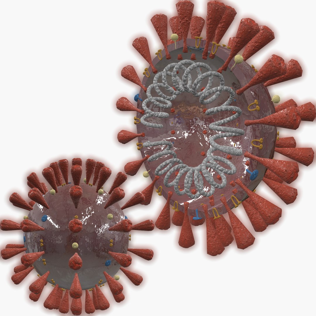Coronavirus virus cell model - TurboSquid 1519563