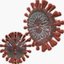 Coronavirus virus cell model - TurboSquid 1519563
