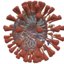 Coronavirus virus cell model - TurboSquid 1519563