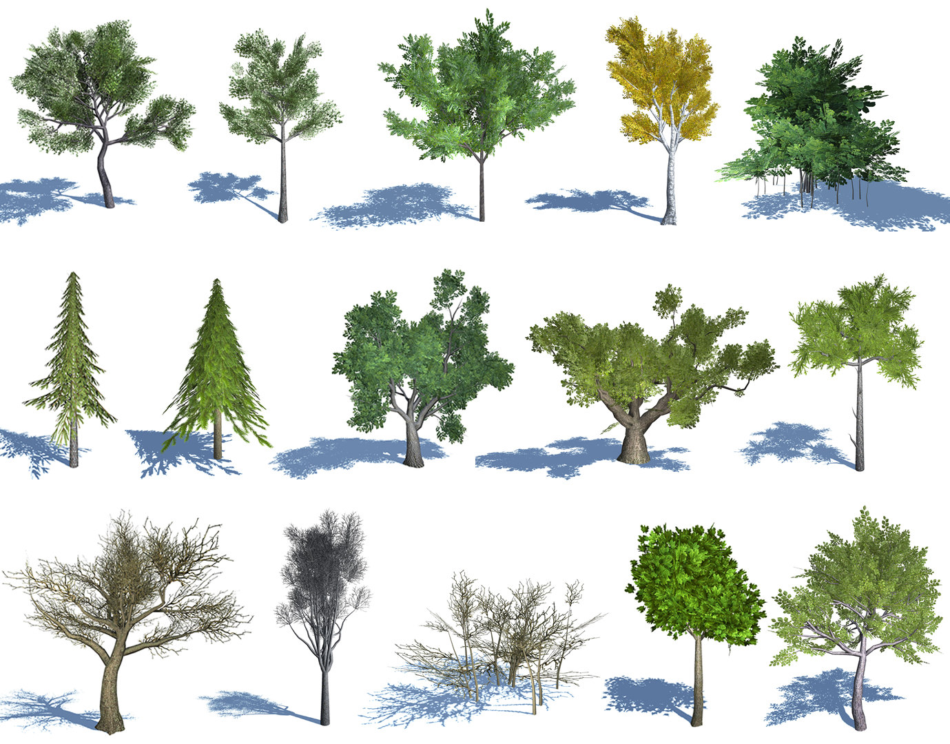 Natural forest trees 3D - TurboSquid 1513588