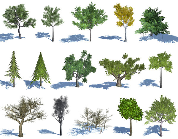 3d max pine tree