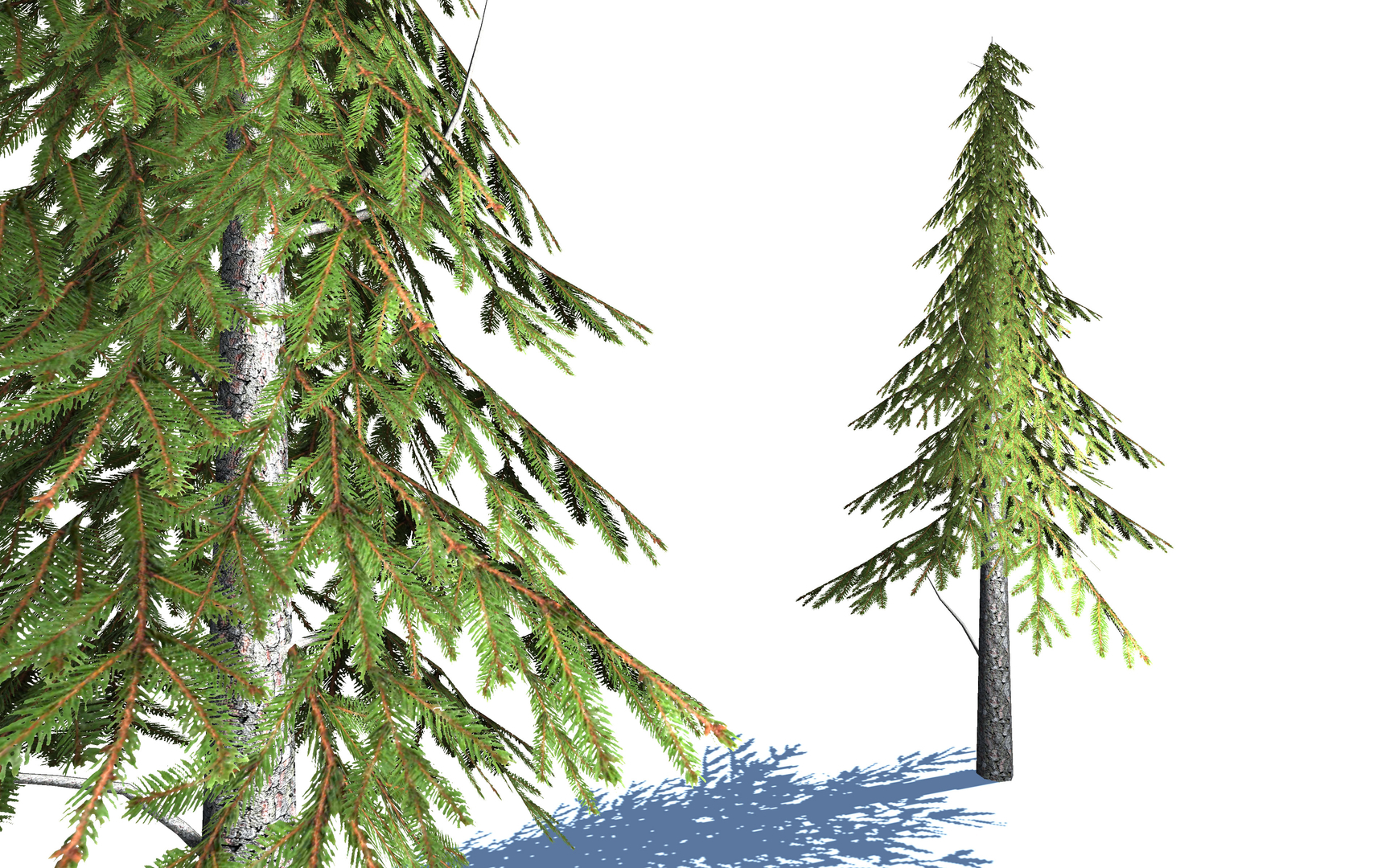 Natural forest trees 3D - TurboSquid 1513588
