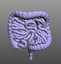 Human intestine 3D model - TurboSquid 1520204