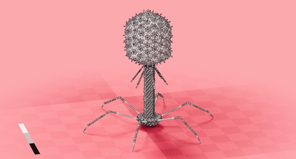 Bacteriophage t4 virus 3D - TurboSquid 1520557