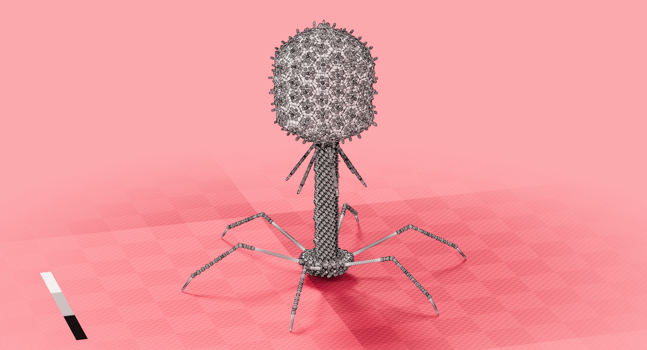 Bacteriophage t4 virus 3D - TurboSquid 1520557