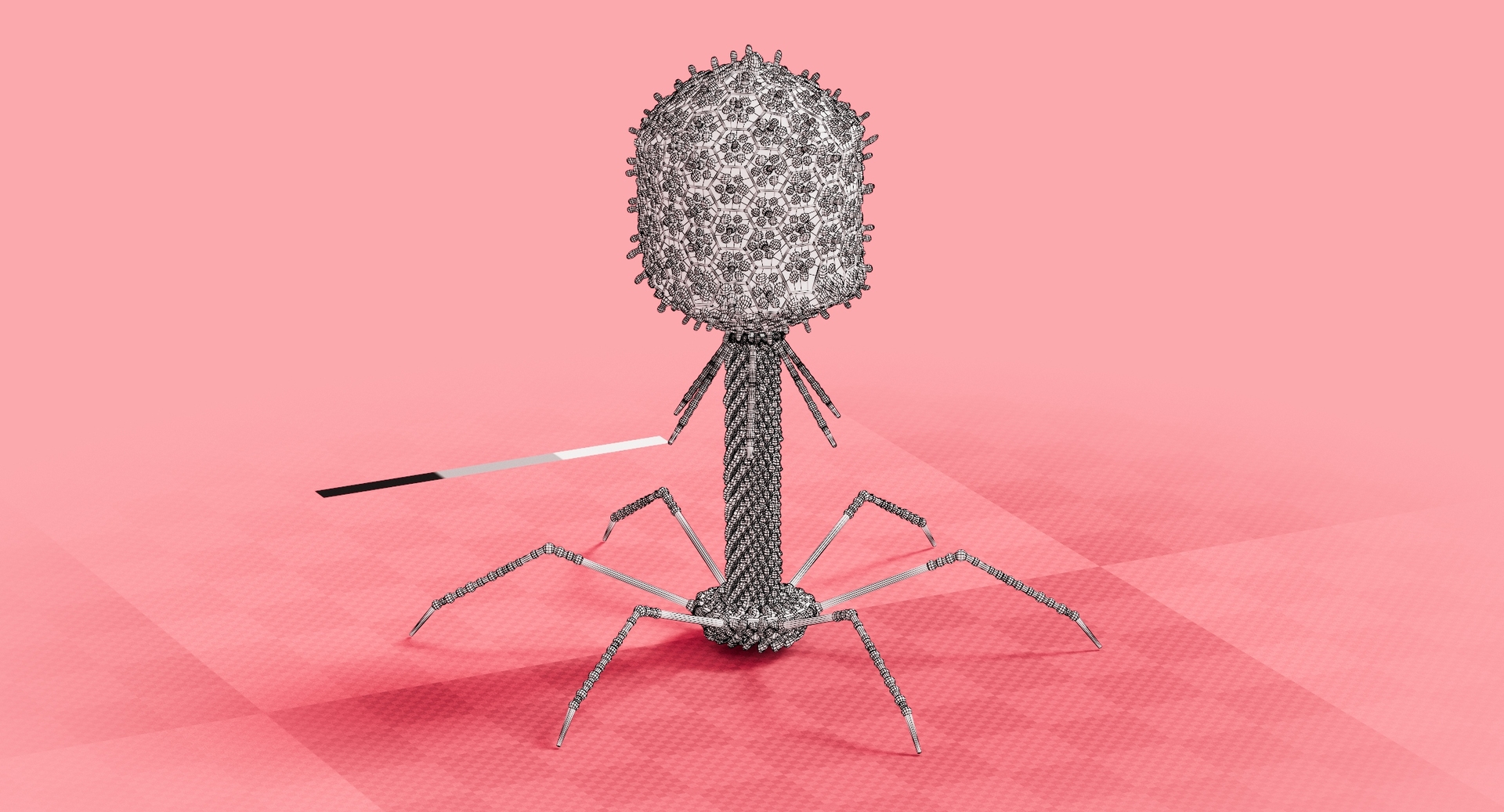 Bacteriophage t4 virus 3D - TurboSquid 1520557