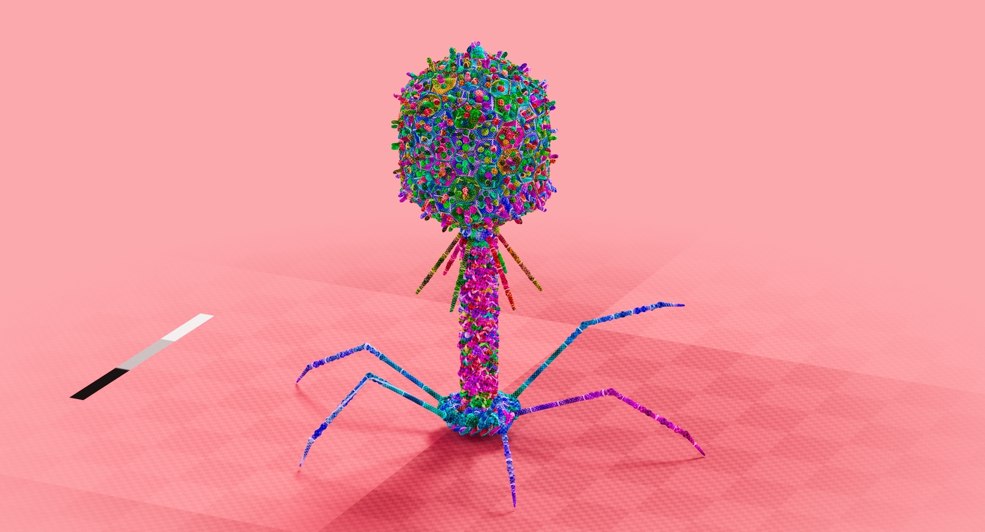 Bacteriophage t4 virus 3D - TurboSquid 1520557