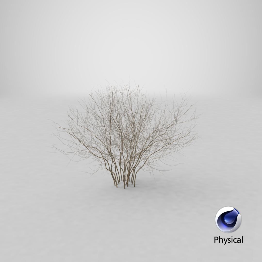3D winter bush - TurboSquid 1396155