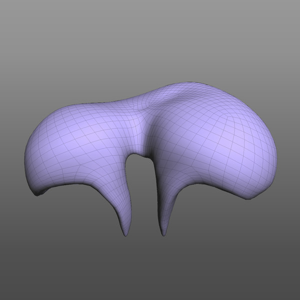 Human diaphragm 3D model - TurboSquid 1521160