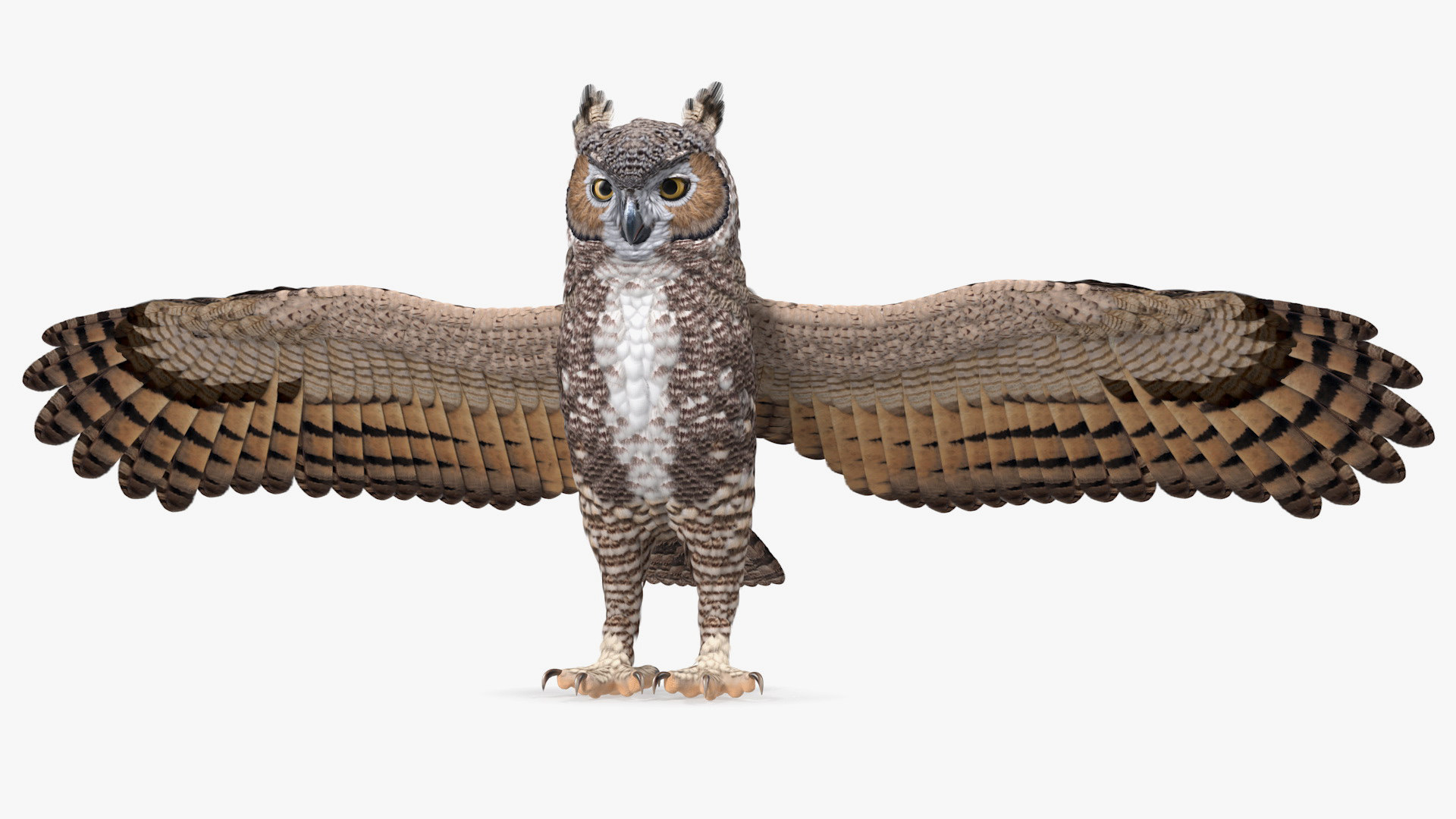 Great horned owl rigged 3D model - TurboSquid 1521242