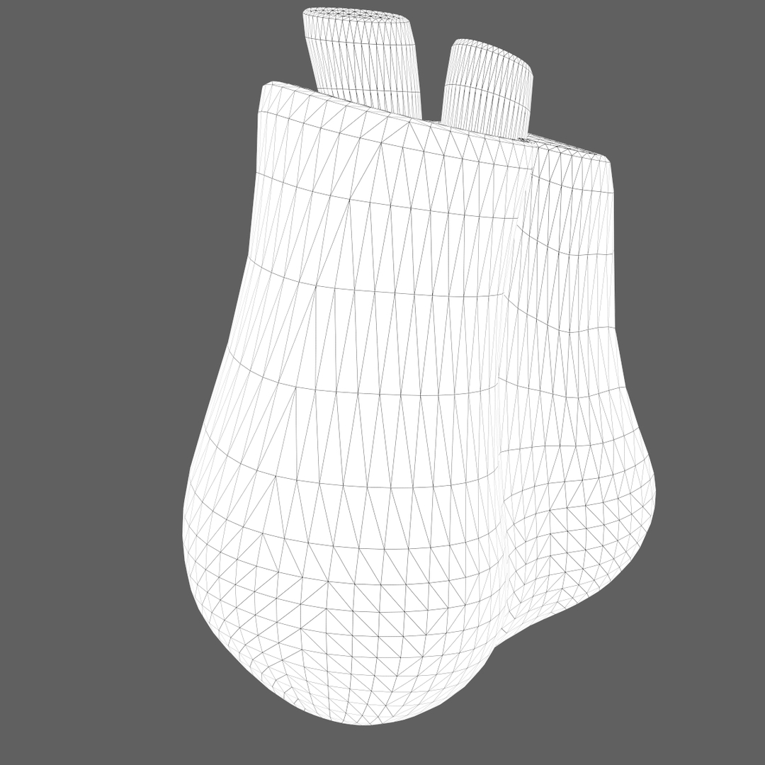 Male testicle anatomy 3D - TurboSquid 1521454