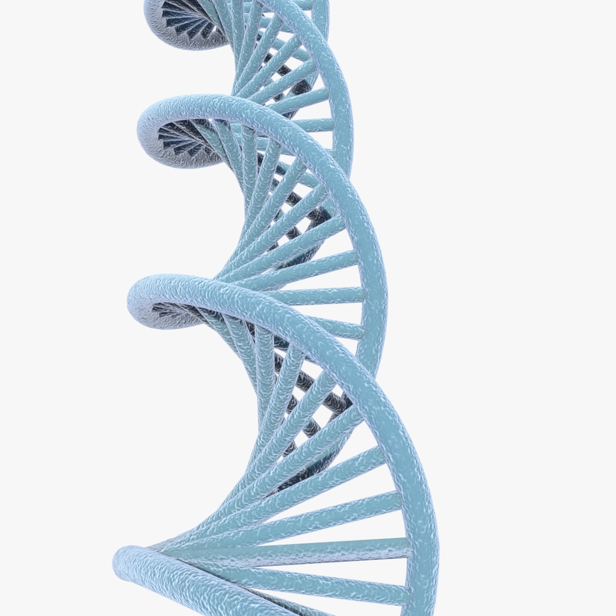 Free dna 3D model - TurboSquid 1521540