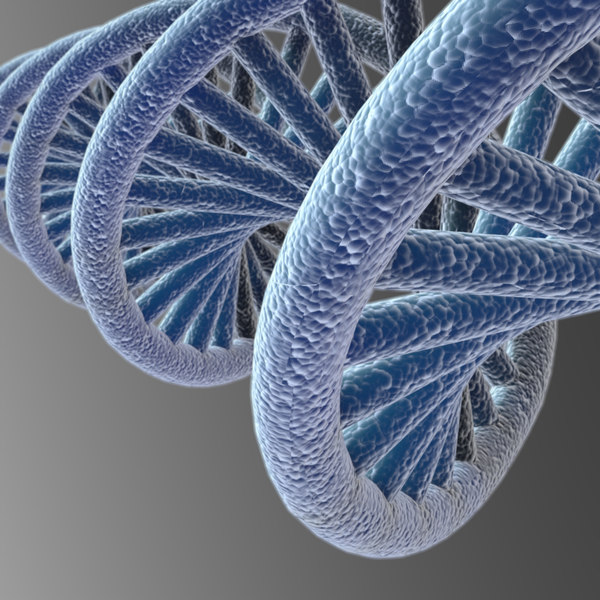 Free dna 3D model - TurboSquid 1521540