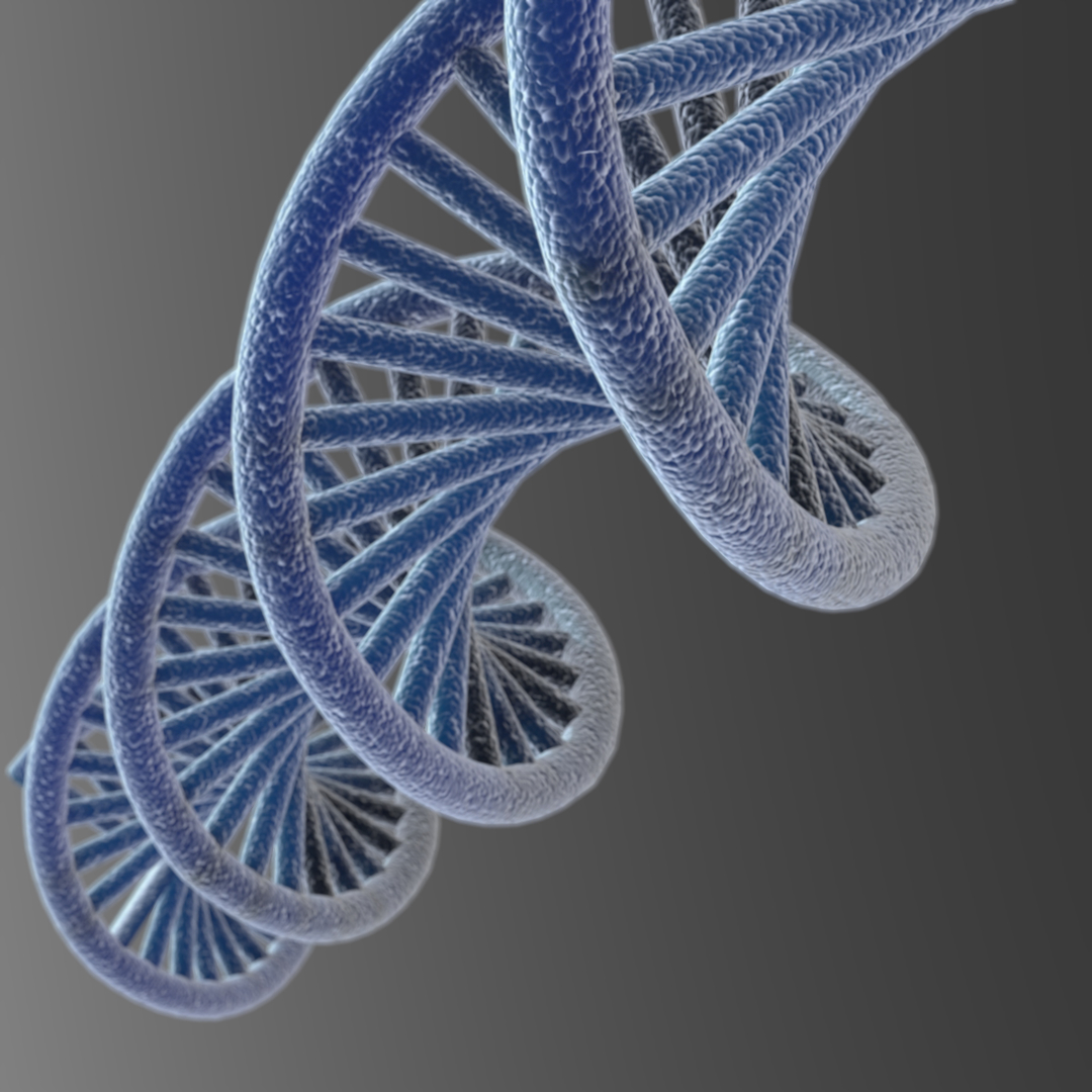 Free dna 3D model - TurboSquid 1521540