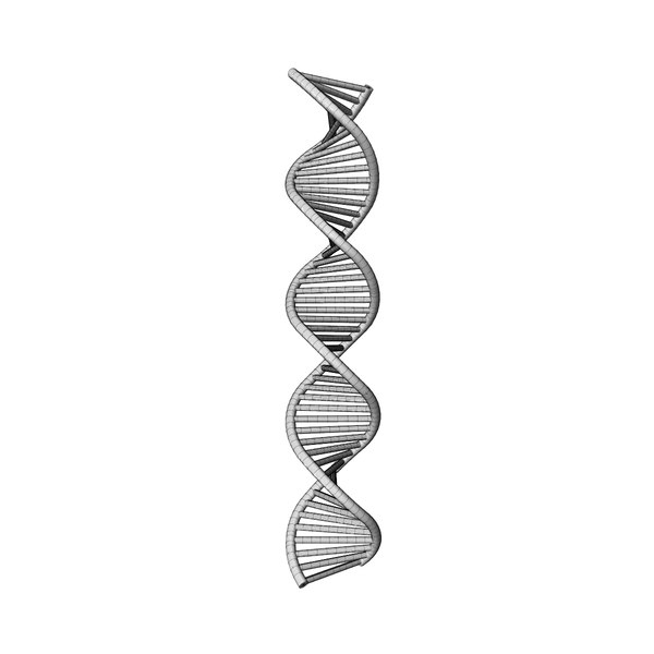 Free dna 3D model - TurboSquid 1521540
