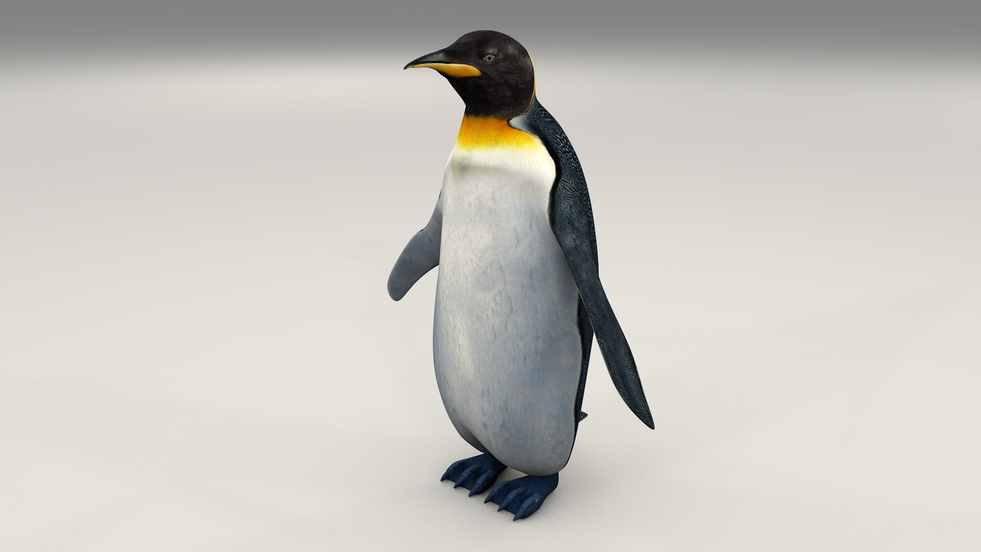 Penguin 3D model - TurboSquid 1522173