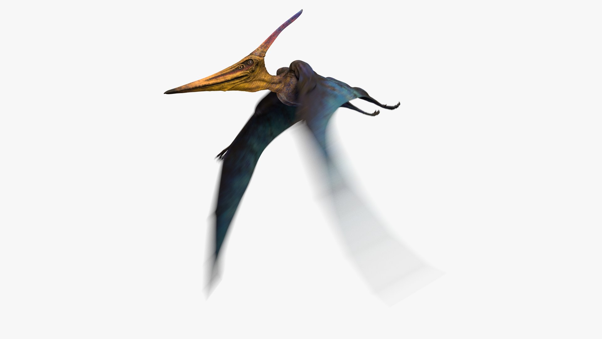 3D pteranodon longiceps cyan animation flying - TurboSquid 1522611