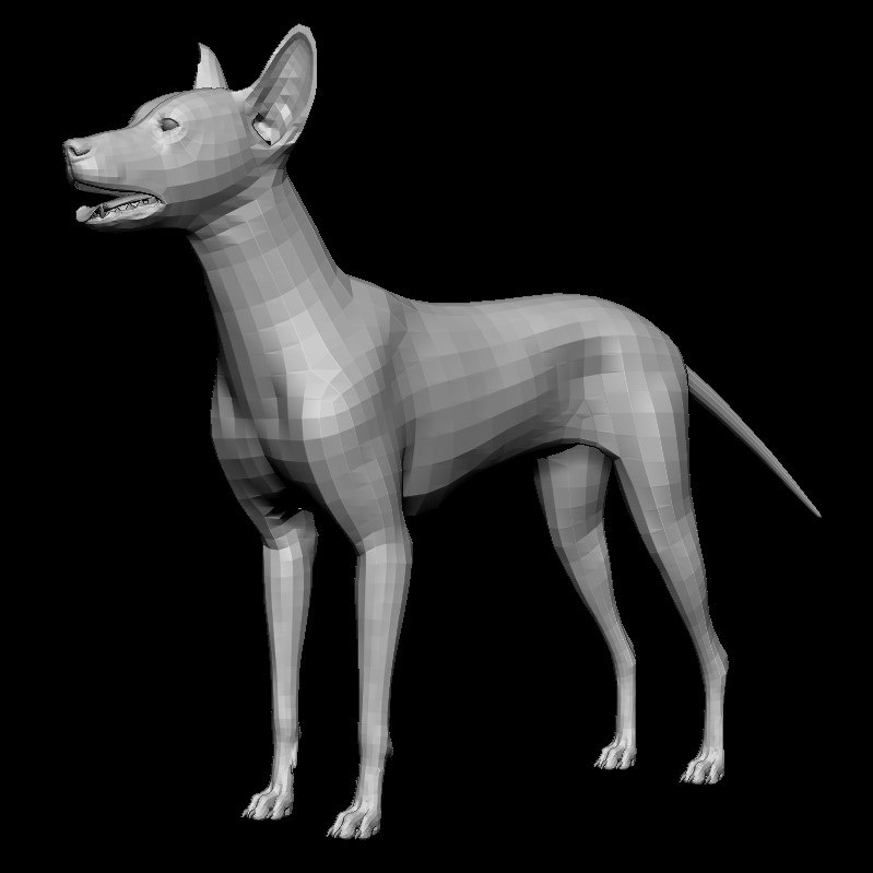 Dog base mesh animal model - TurboSquid 1523153