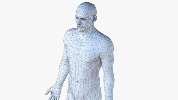 3D male body skeleton polys model - TurboSquid 1523436