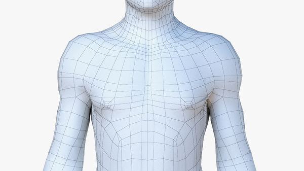 3D male body skeleton polys model - TurboSquid 1523436