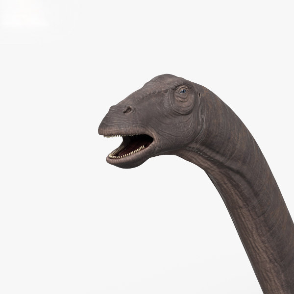 Brontosaurus HD Modelo 3D - TurboSquid 1523707
