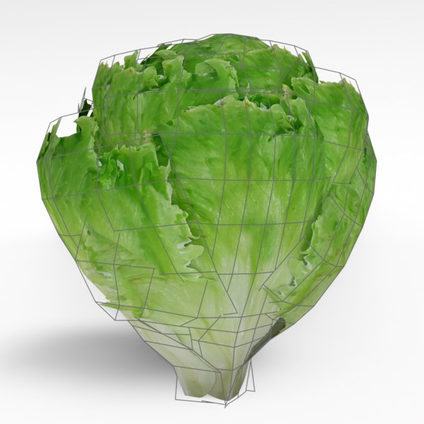 modèle 3D de Low poly lettuce - TurboSquid 1523947