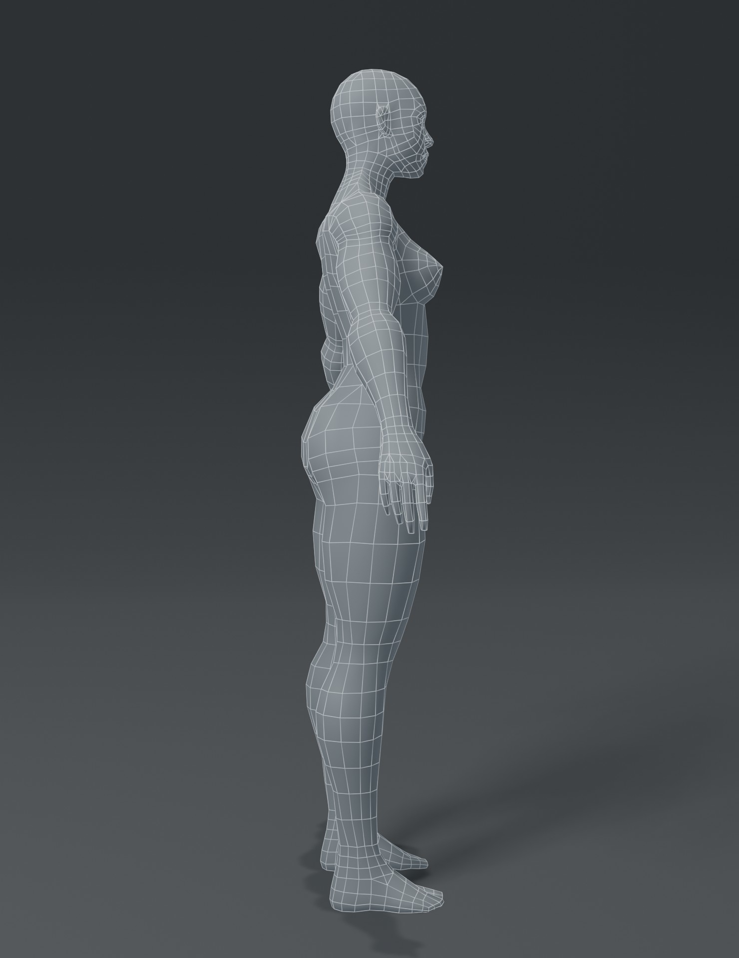 Modèle 3d De Maillage De Base De Corps Féminin De Super Héros Modèle 3d