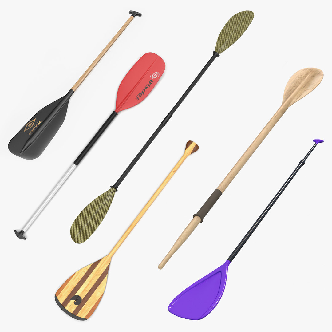 3D paddles 4 model - TurboSquid 1525299