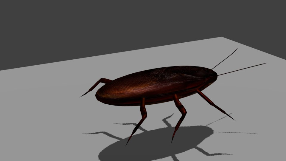 3D model roach cockroach - TurboSquid 1525621