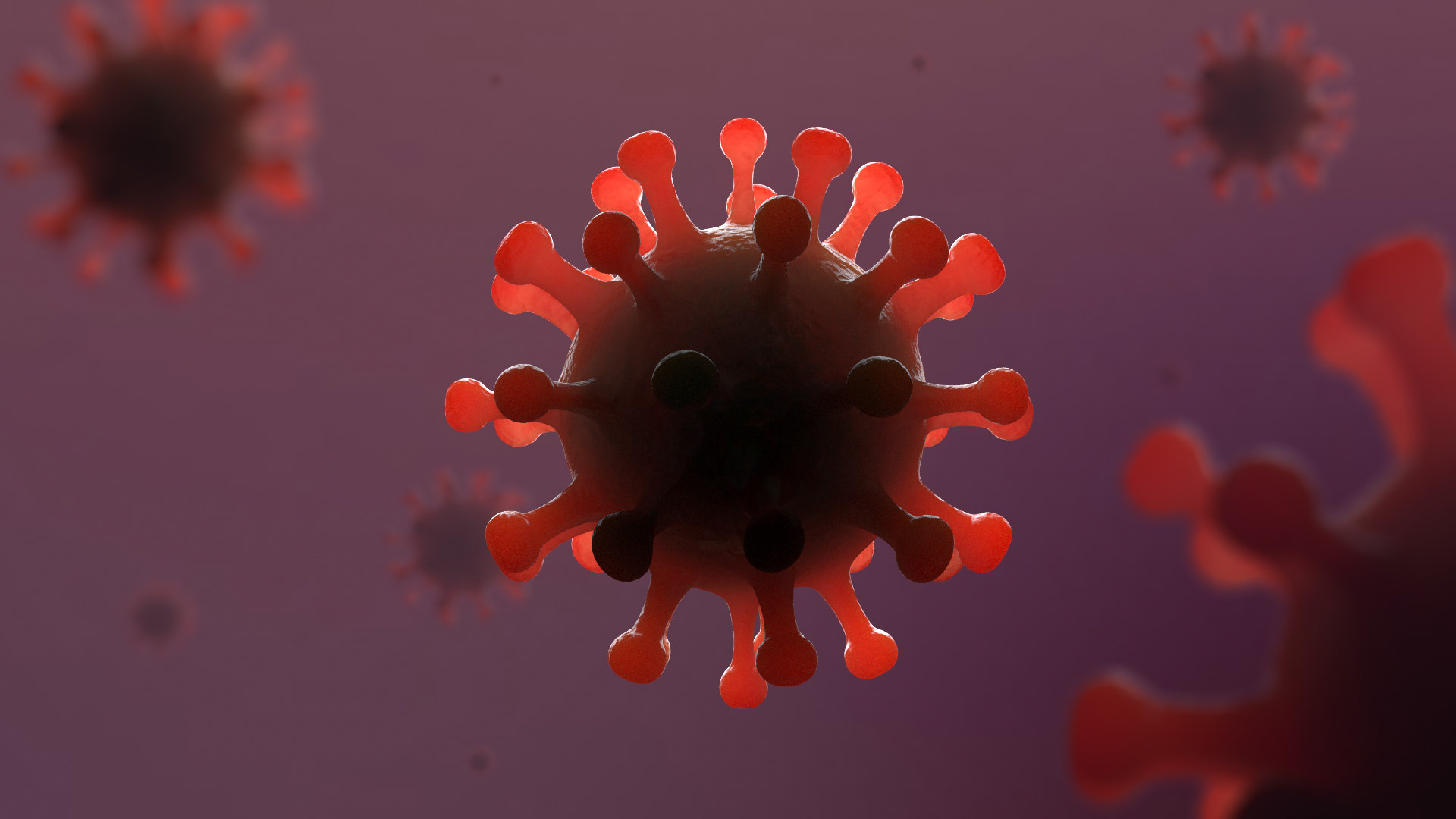 Coronavirus epidemies infections model - TurboSquid 1526084