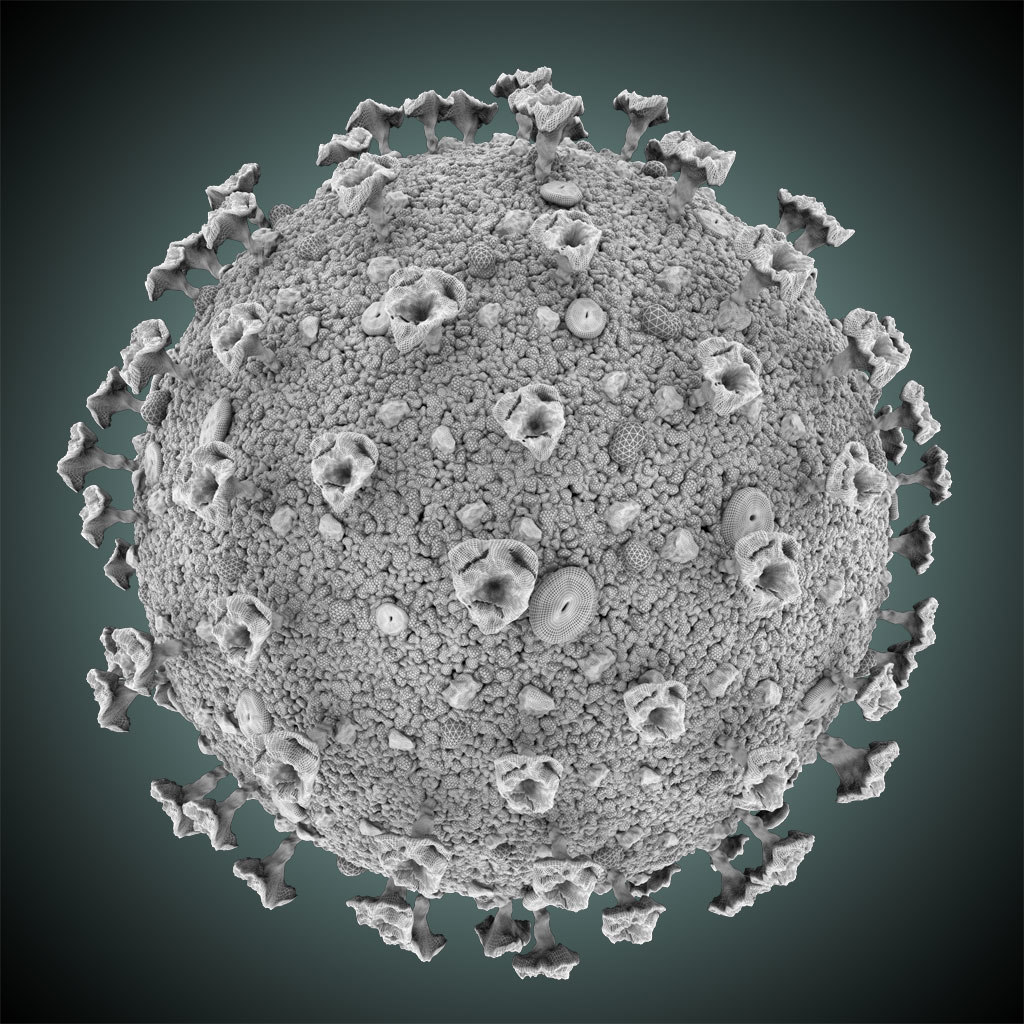 Corona virus covid-19 res 3D model - TurboSquid 1527031