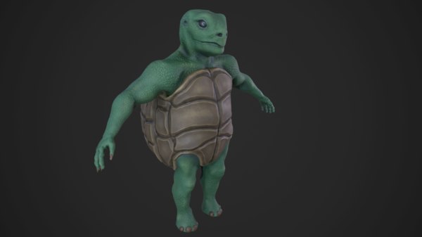 Rigged Turtle Blender Models for Download | TurboSquid