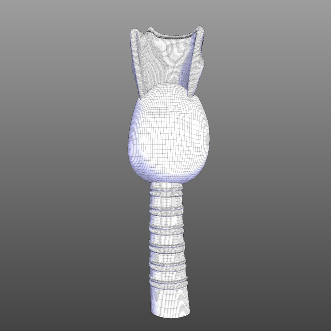modèle 3D de Anatomie de la gorge humaine - TurboSquid 1527746