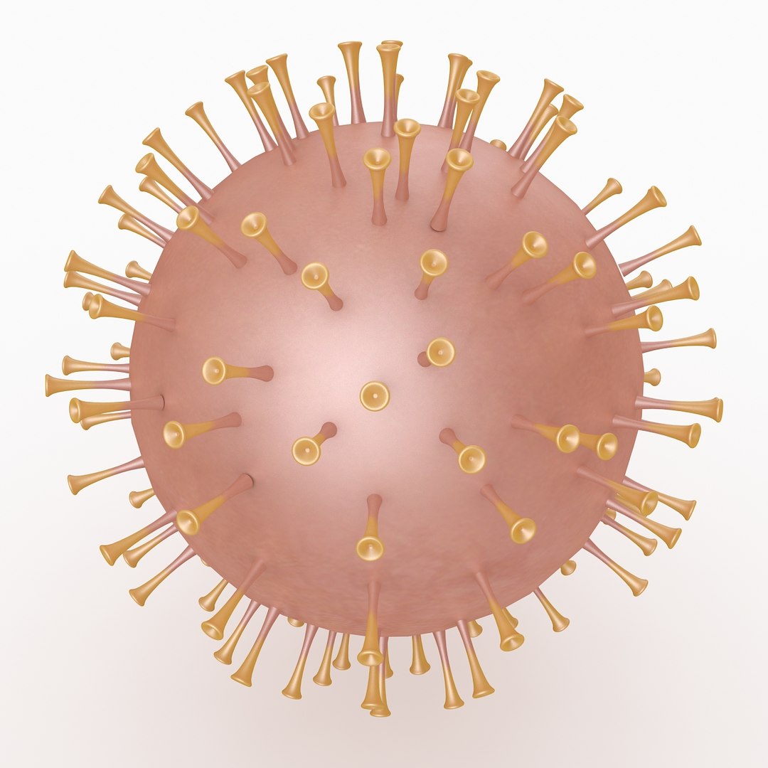 Crona virus 3D model - TurboSquid 1528283